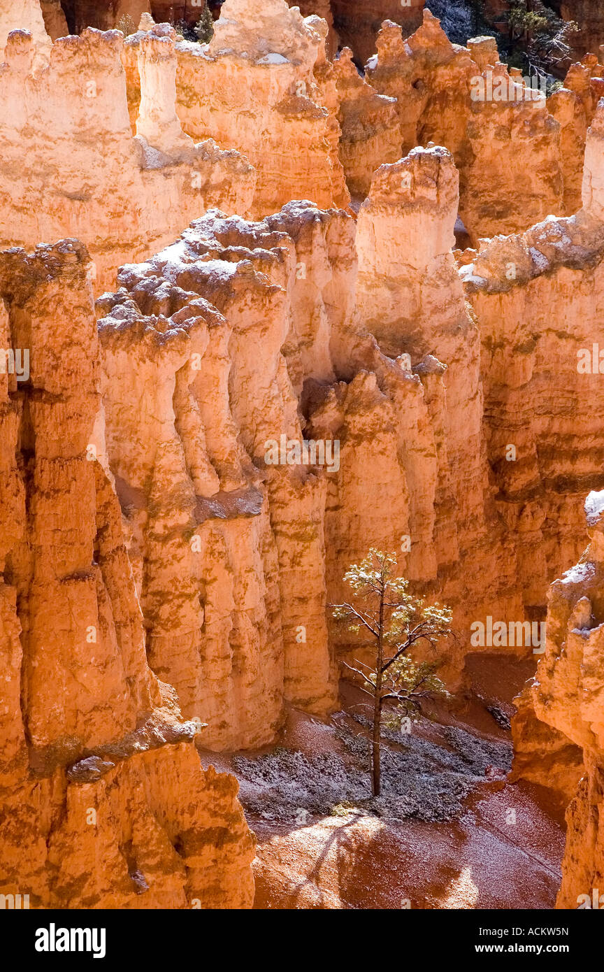 A picture illustrating some of the many of the features of Bryce Canyon ...