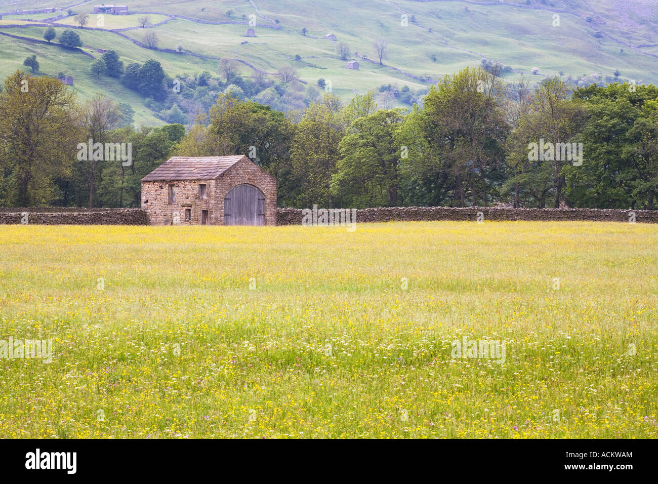 Swaledale Barn, Yorkshire Dales, England Stock Photo - Alamy