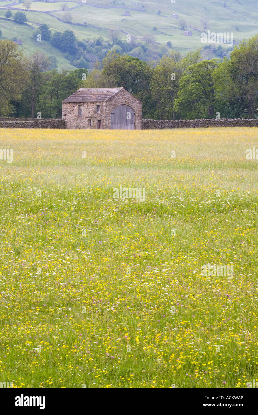 Swaledale Barn, Yorkshire Dales, England Stock Photo - Alamy