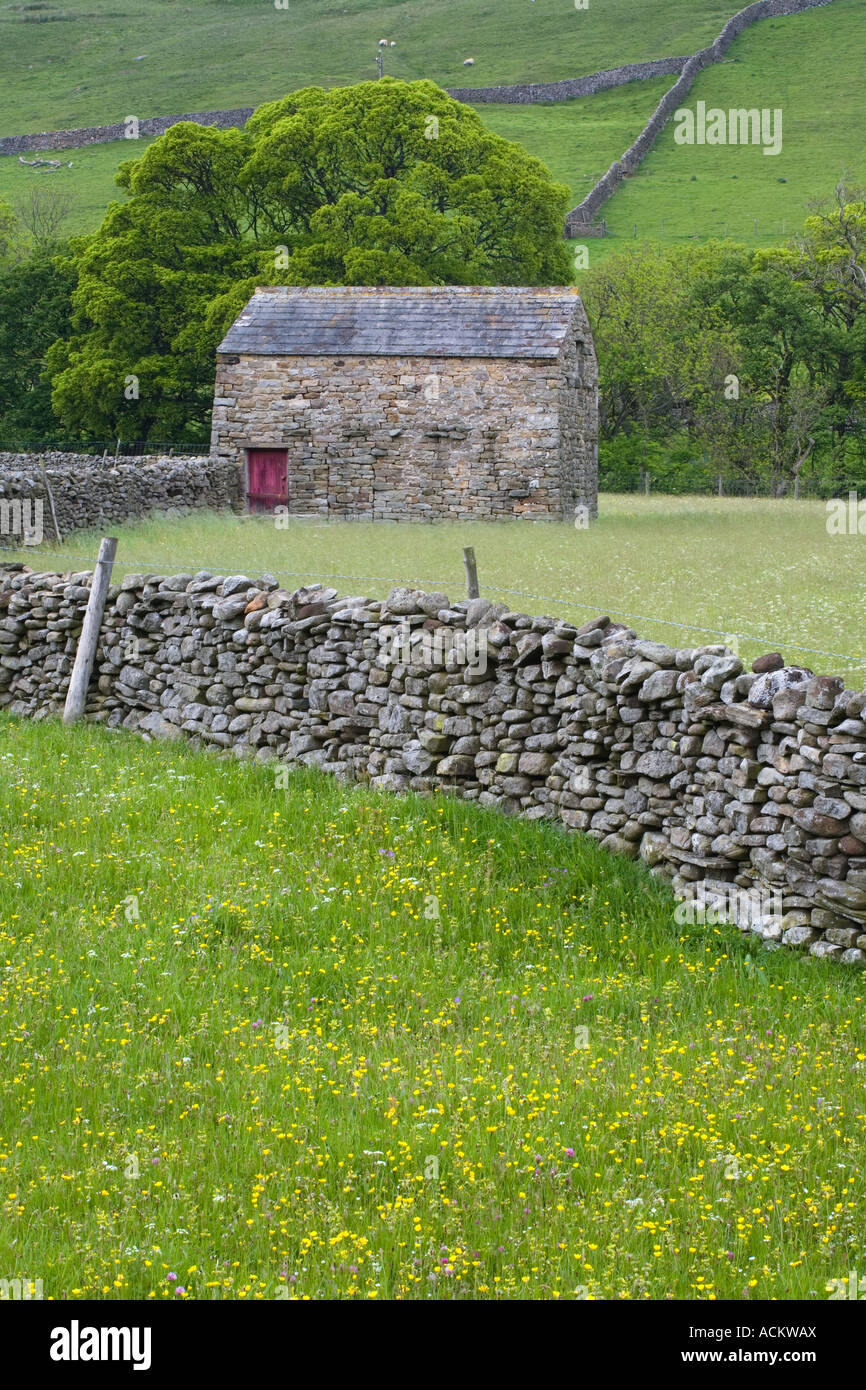 Swaledale Barn, Yorkshire Dales, England Stock Photo - Alamy