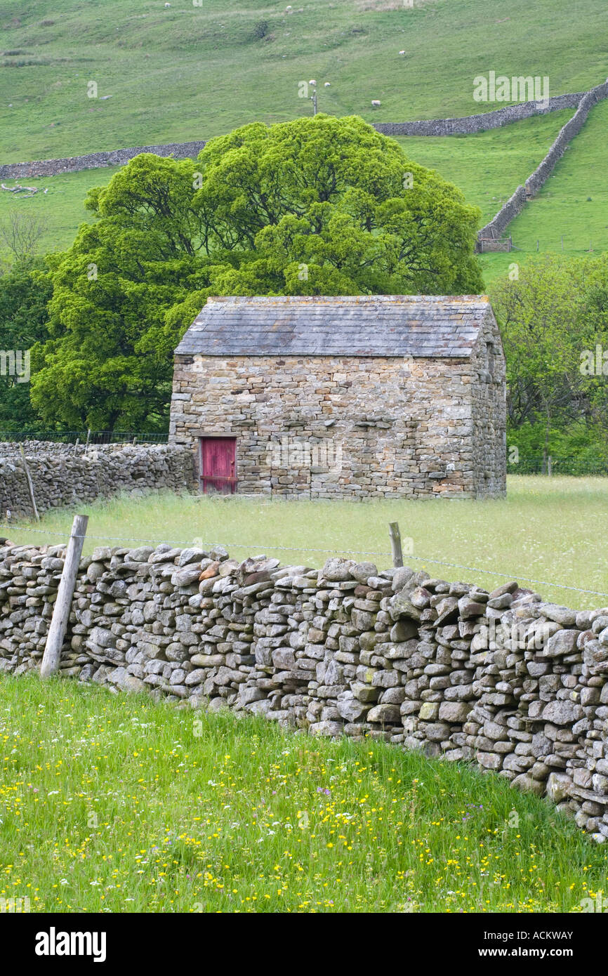 Swaledale Barn, Yorkshire Dales, England Stock Photo - Alamy