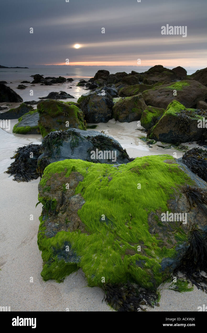 Summer Sunset, St Ives, Cornwall Stock Photo - Alamy