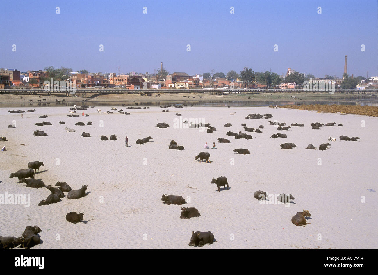 Buffalo pipe line hi-res stock photography and images - Alamy