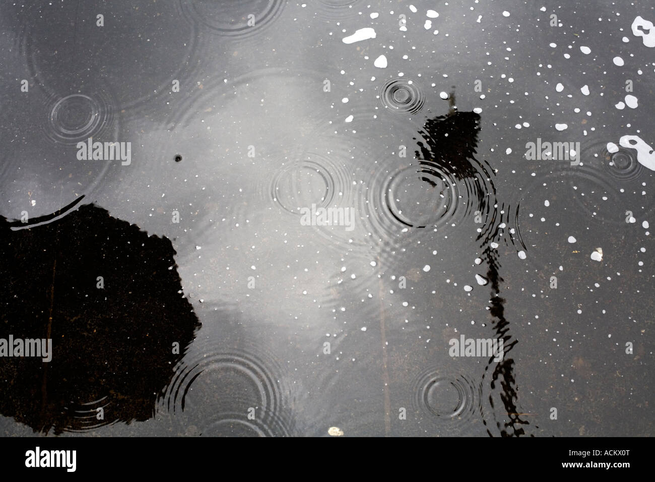 Shadows and shapes in a puddle on the street on a rainy day Stock Photo ...