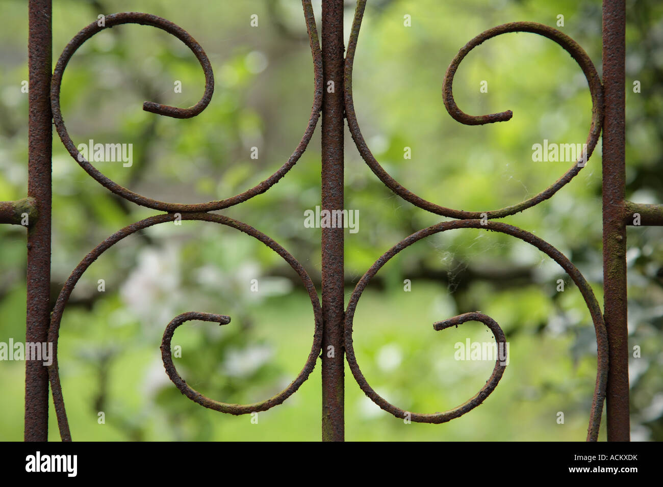 Rusty garden gate, Surrey, England Stock Photo - Alamy