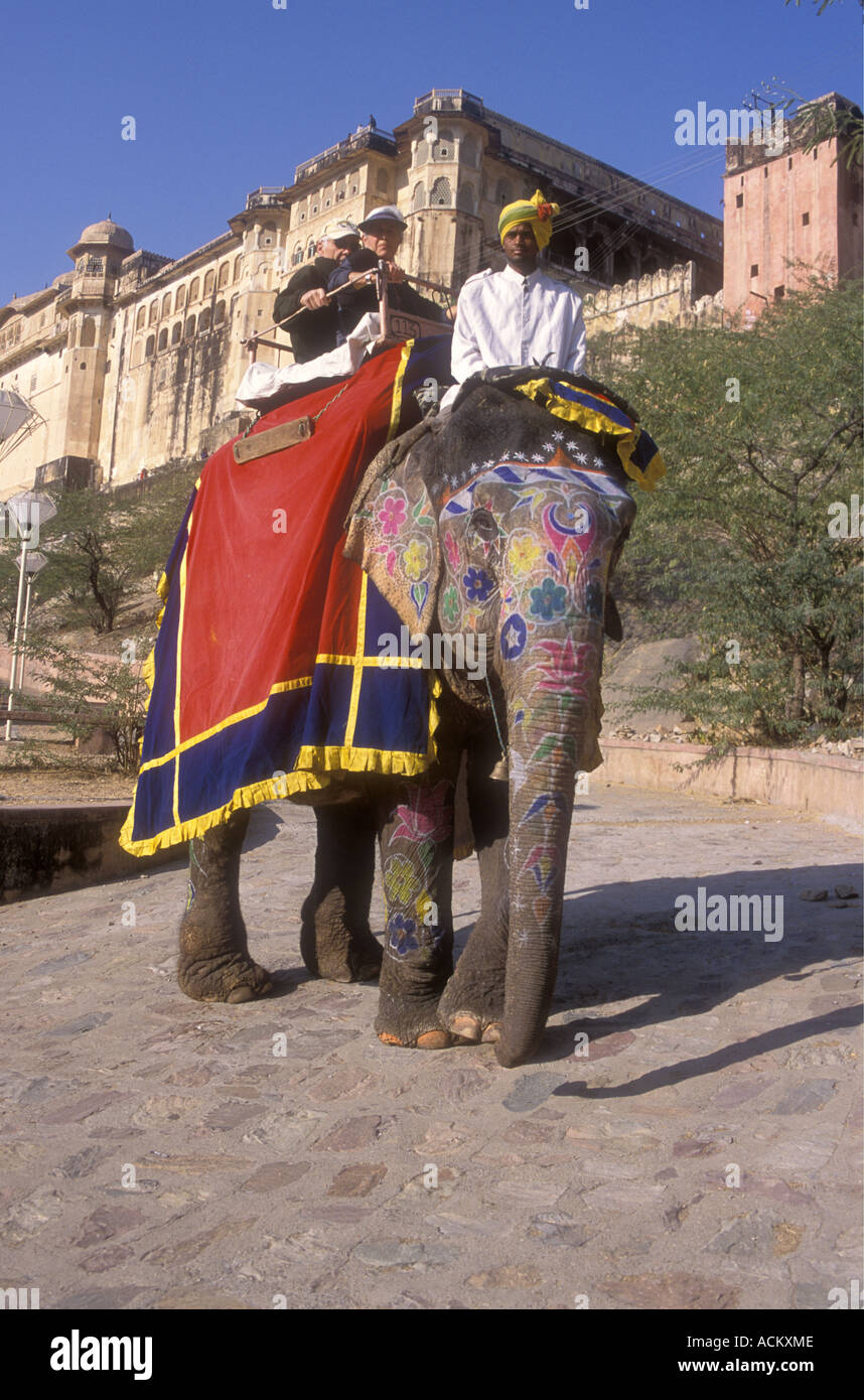 Elephant carrying man hi-res stock photography and images - Alamy