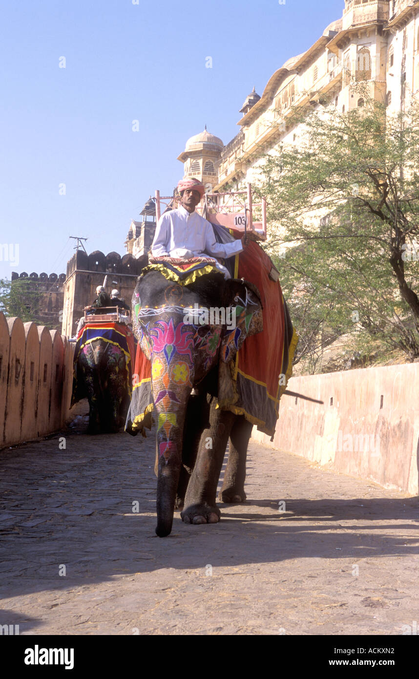 Elephant carrying man hi-res stock photography and images - Alamy