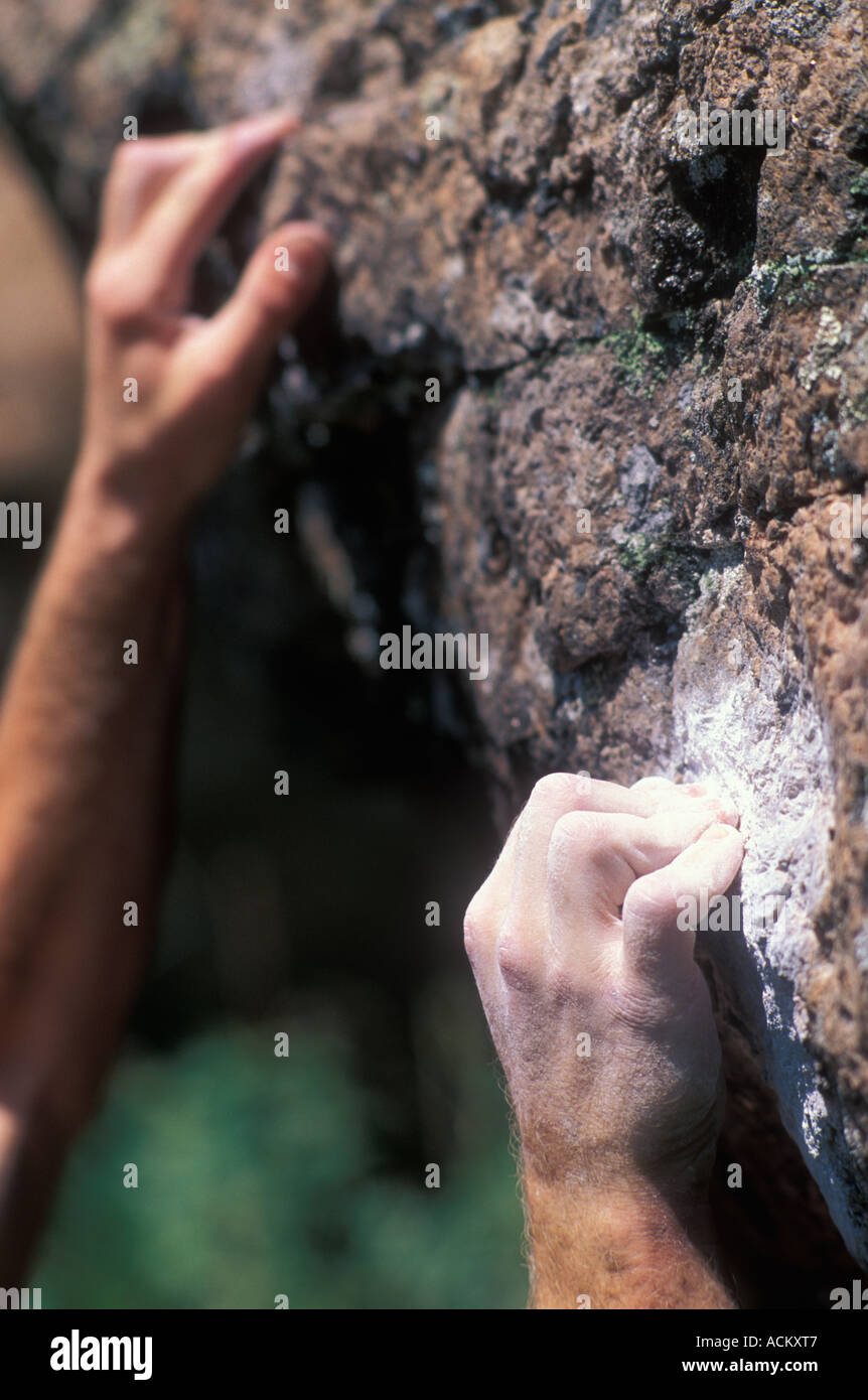 Rock climbers hand holding on hi-res stock photography and images - Alamy