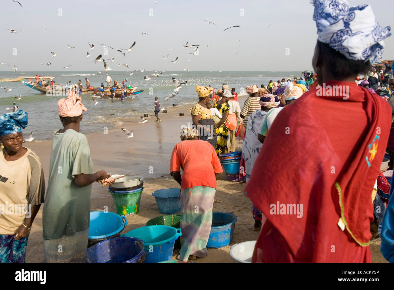 Crowd seagulls women with basins wait as open fishing boats arrive with ...