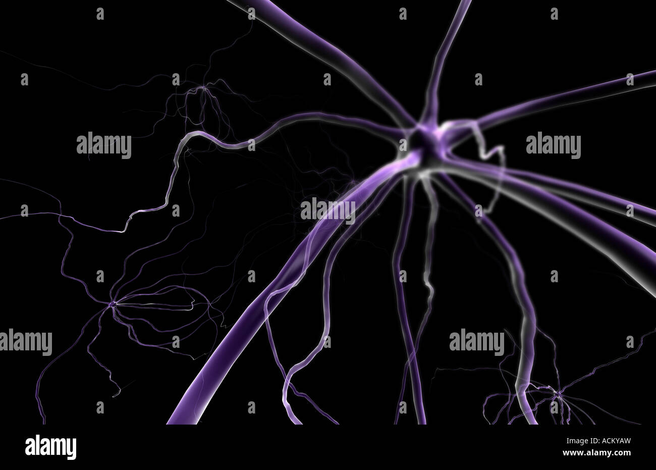 Neuronal axons hi-res stock photography and images - Alamy