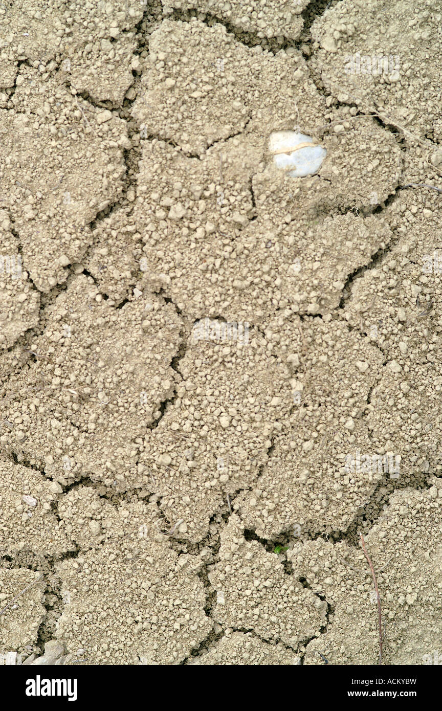 Dry soil with drought cracks Stock Photo - Alamy