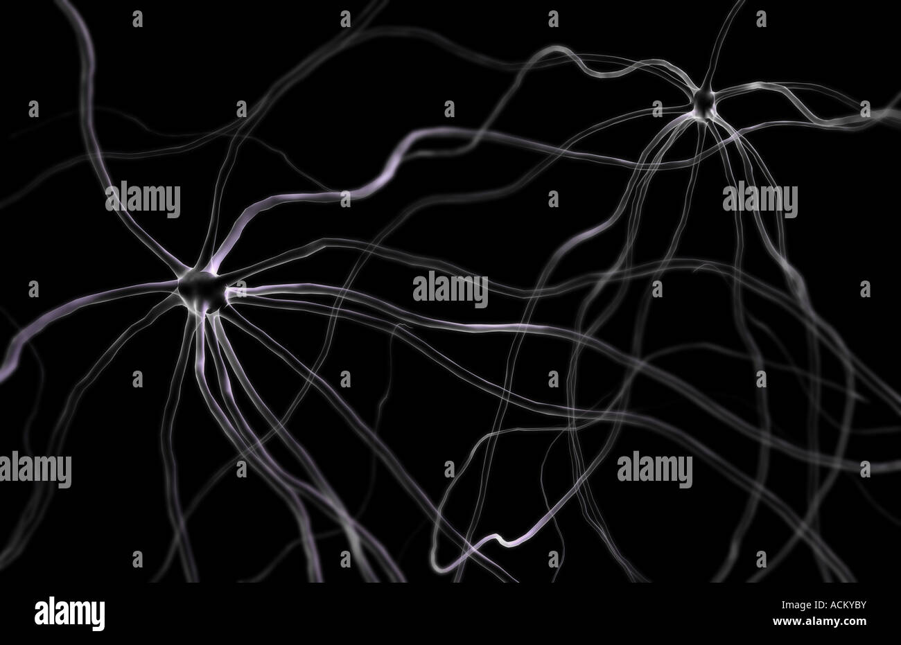 Neuronal axons hi-res stock photography and images - Alamy