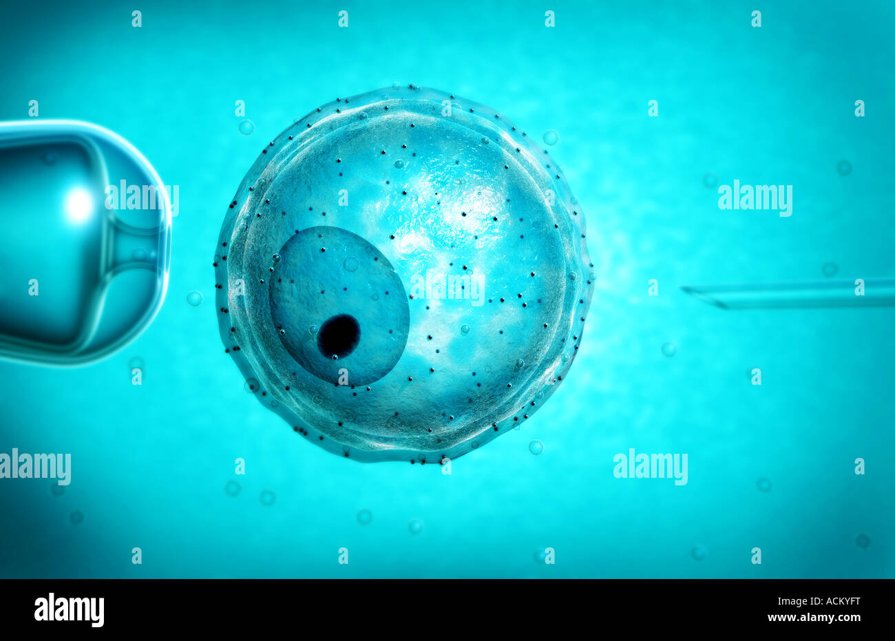 IVF Stock Photo Alamy ivf-stock-photo-alamy