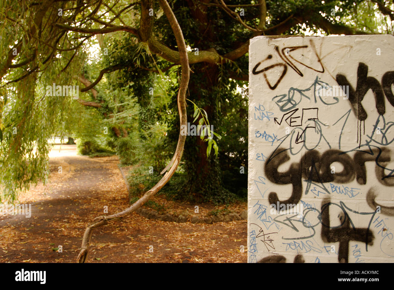 Graffiti on a white wall in a park with path leading into the distance ...