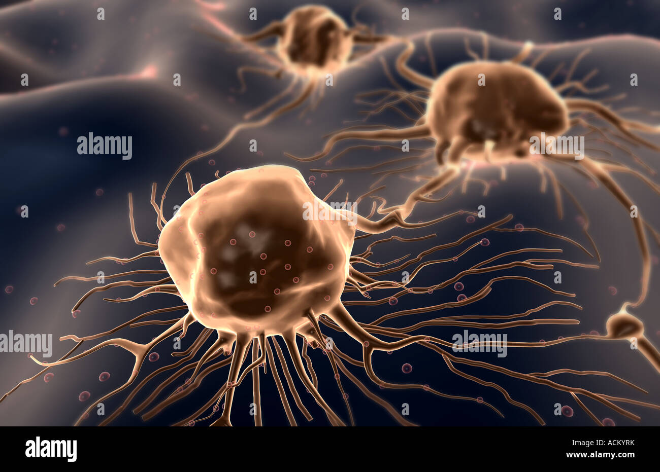 Cancer cells side by side hi-res stock photography and images - Alamy