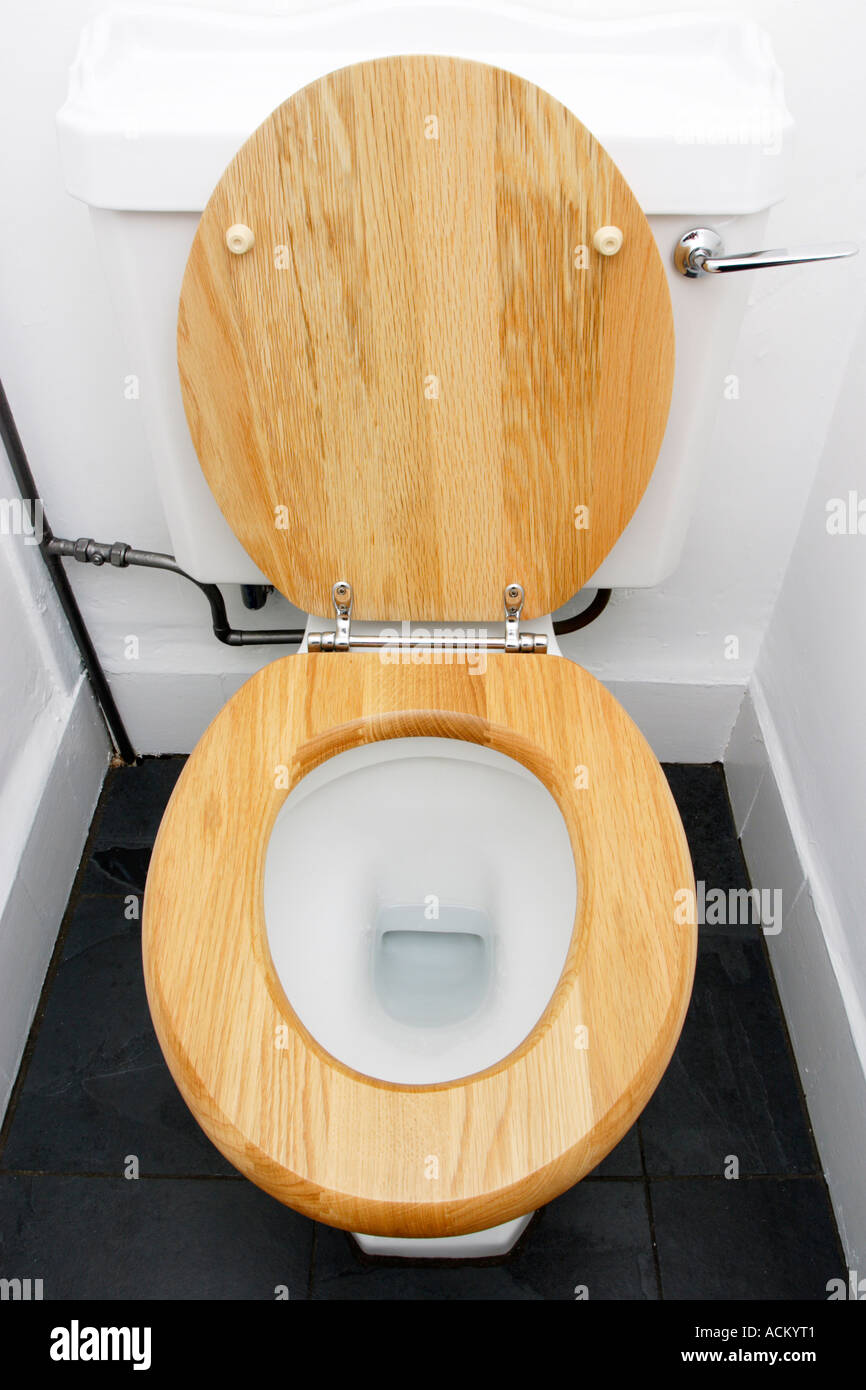 Toilet viewed from above with the lid open Lid is light wood toilet ...
