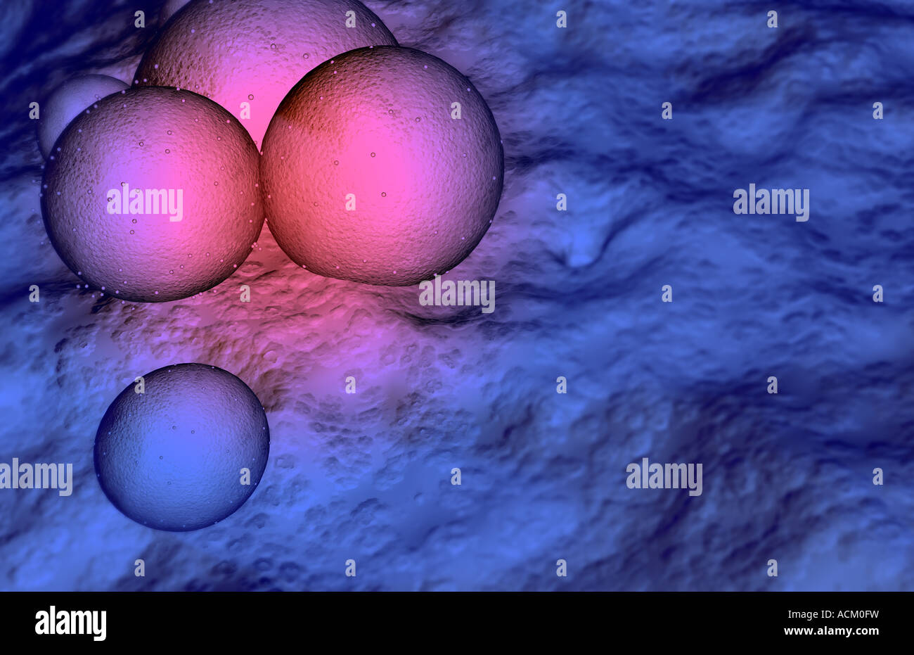 The structure of MRSA Stock Photo - Alamy