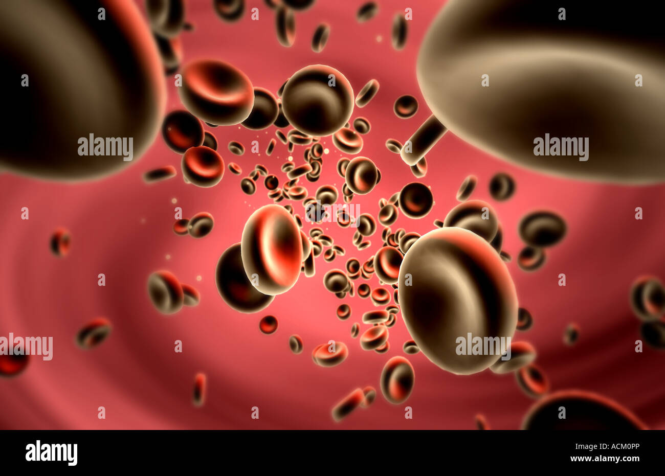 Red blood cells Stock Photo - Alamy