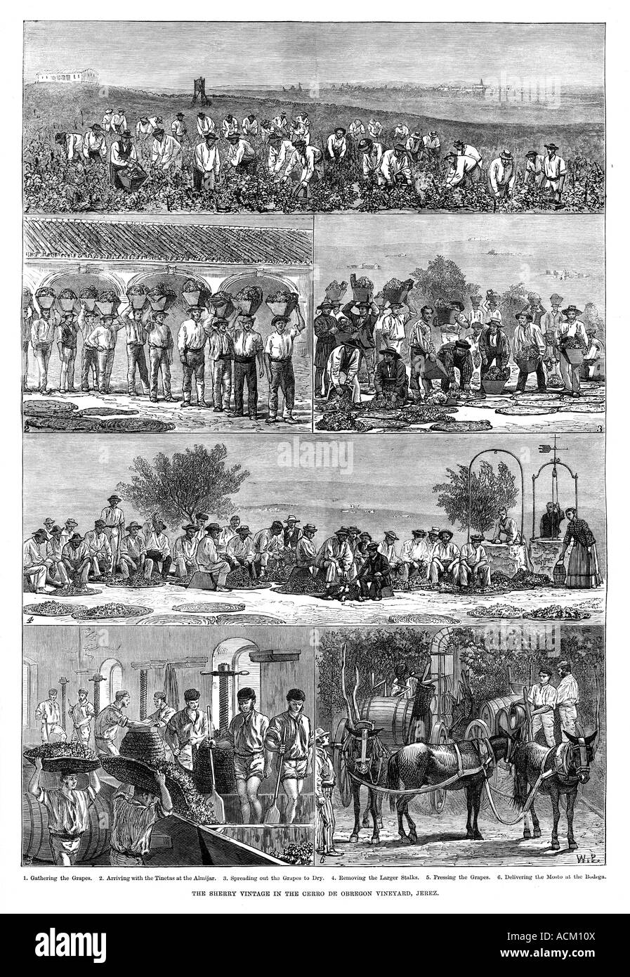 Sherry production Black and White Stock Photos & Images - Alamy