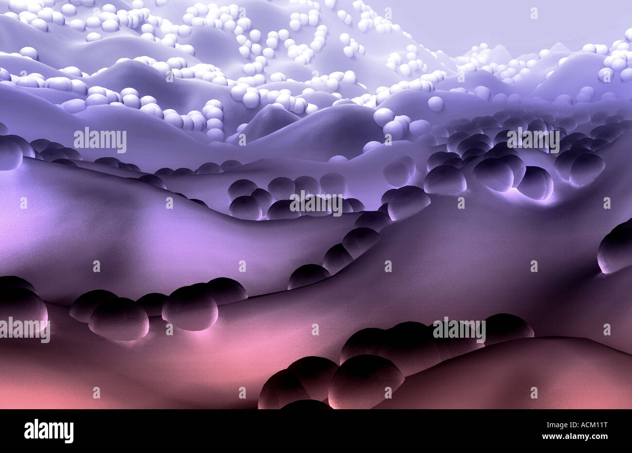 Cocci bacteria hi-res stock photography and images - Alamy