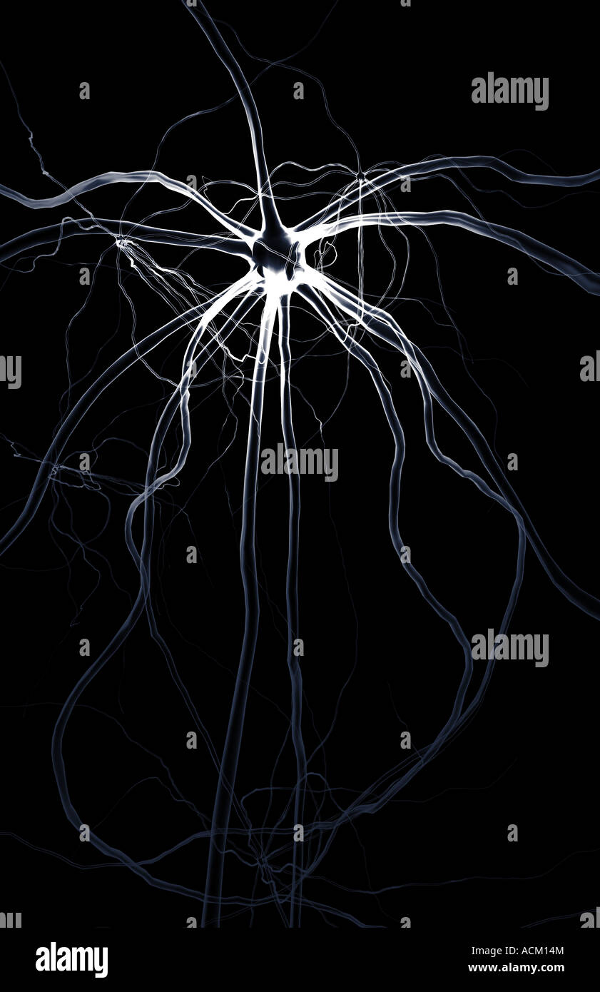 Neuronal axons hi-res stock photography and images - Alamy