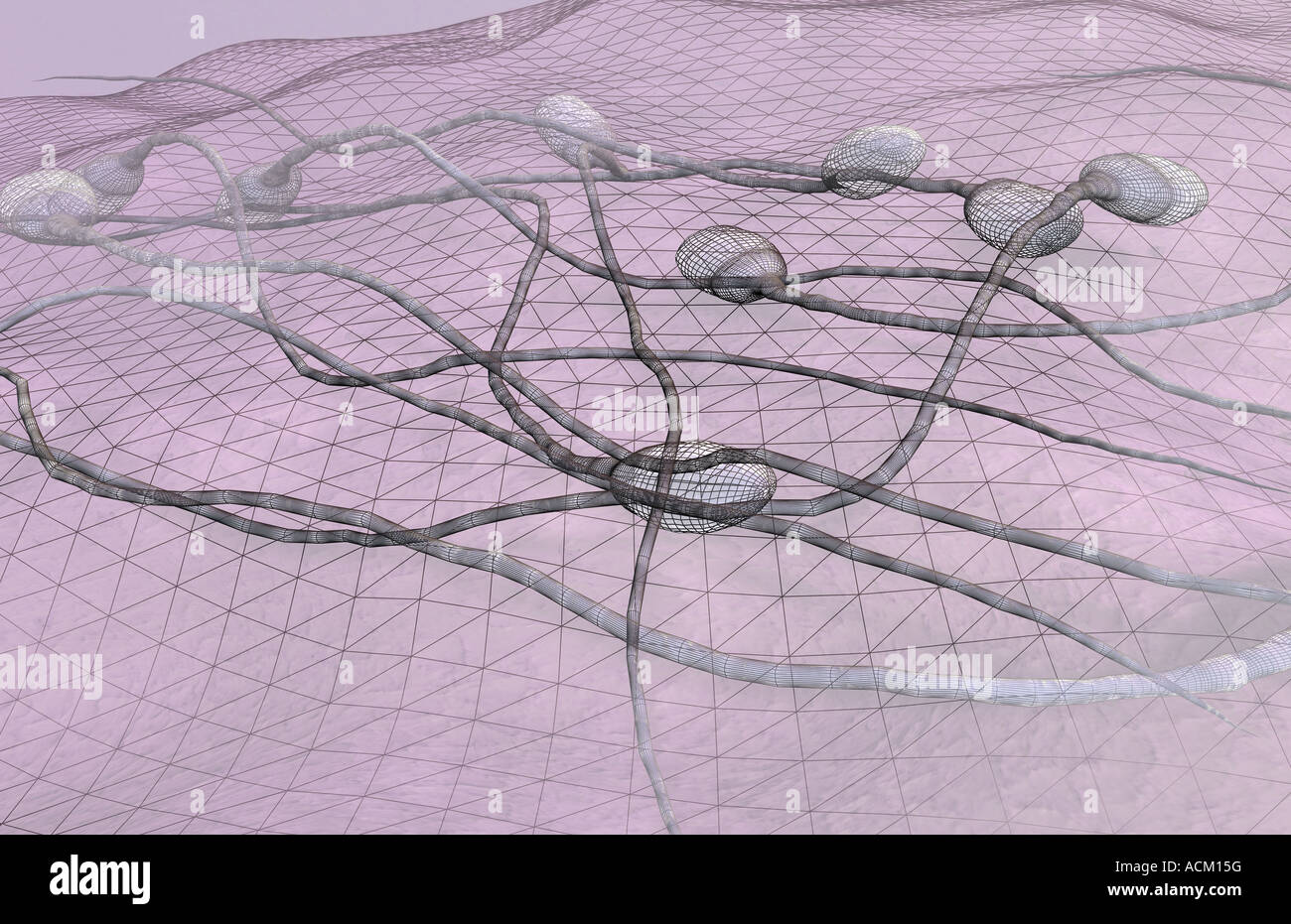 Spermatozoan hi-res stock photography and images - Alamy