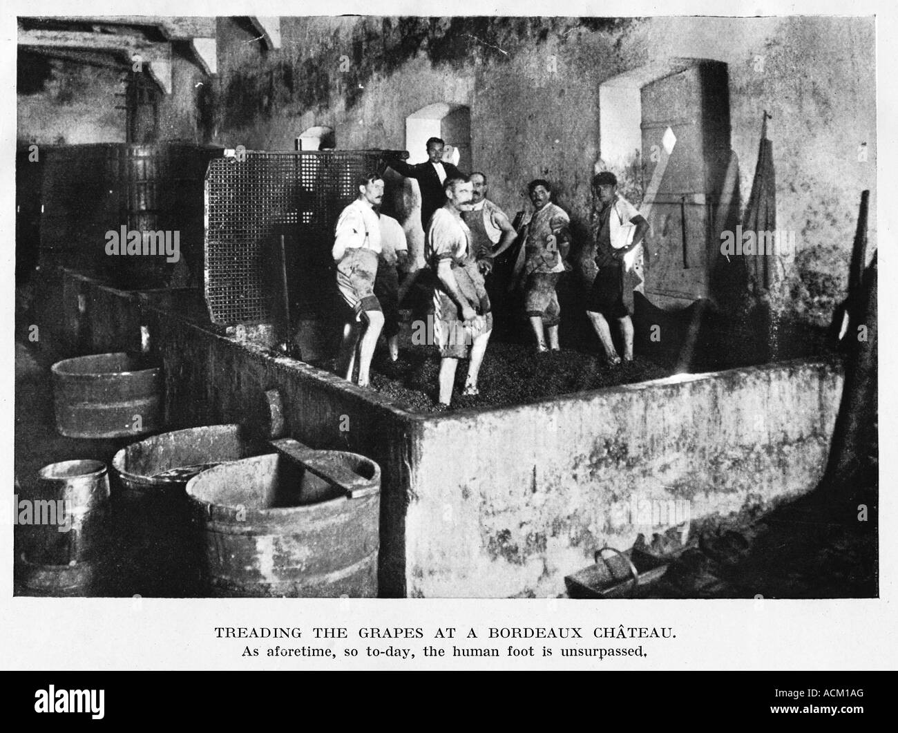 Treading the grapes hi-res stock photography and images - Alamy