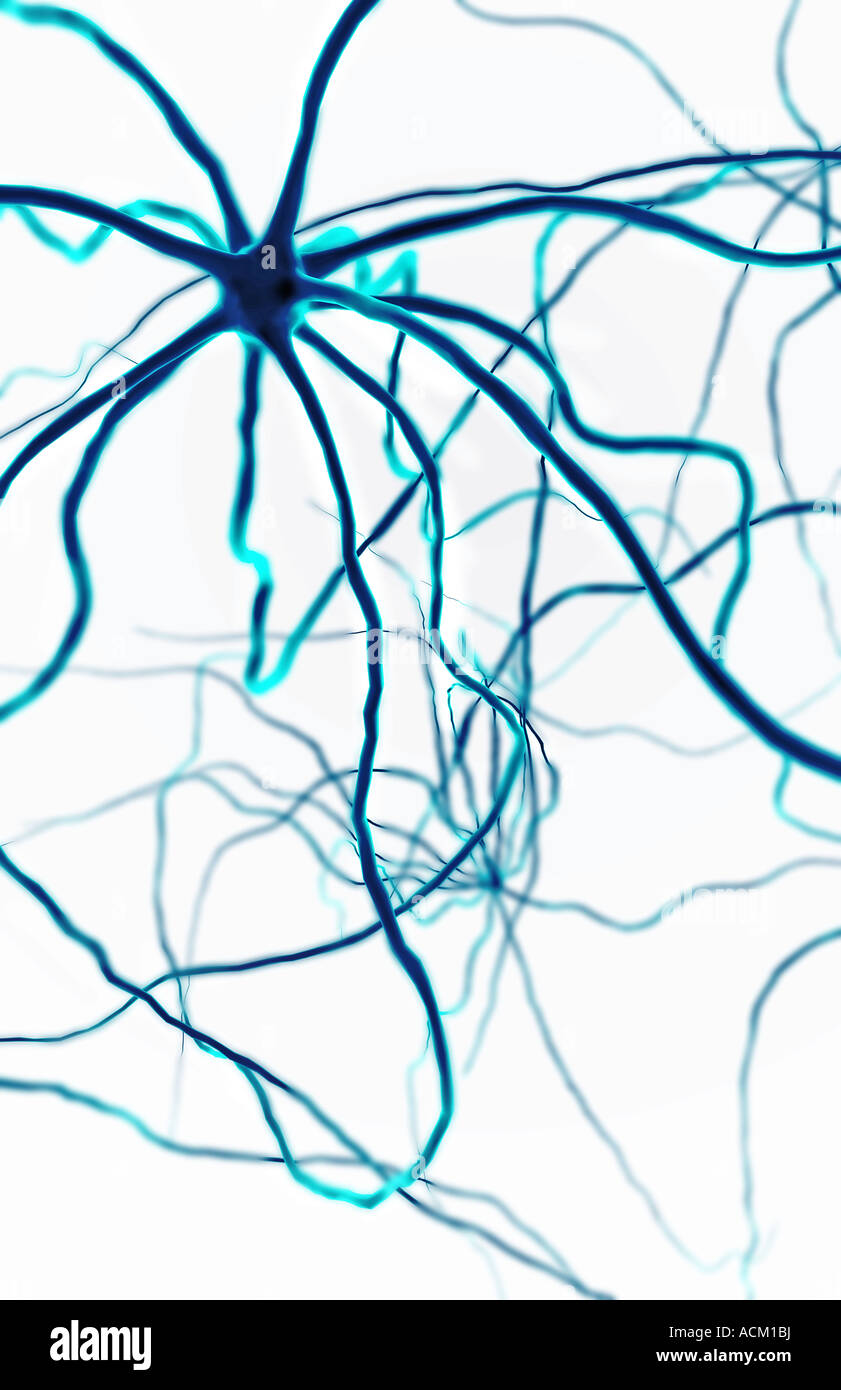 Motor neurons hi-res stock photography and images - Alamy