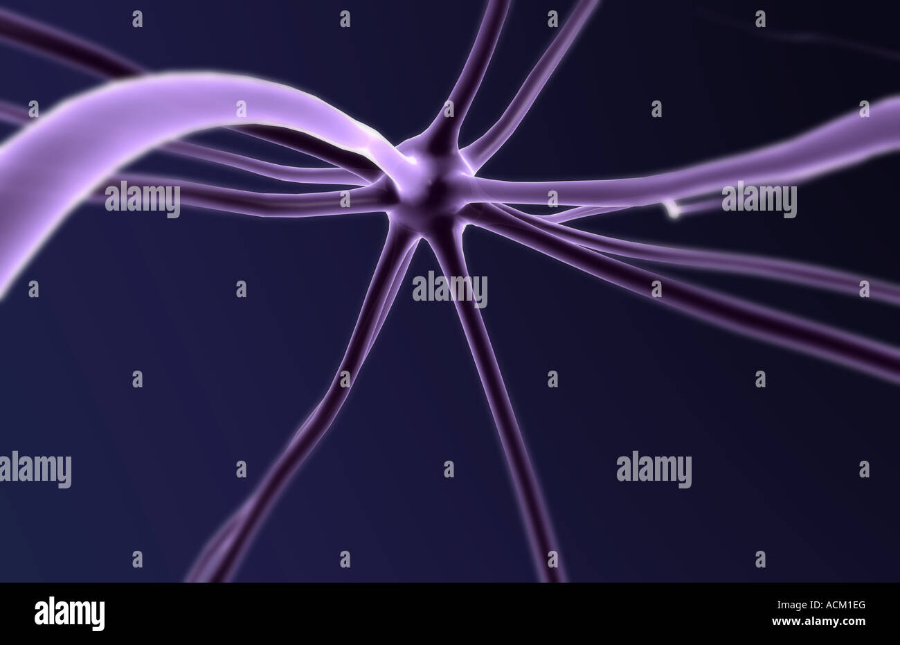 Close up human nerve cells hi-res stock photography and images - Alamy