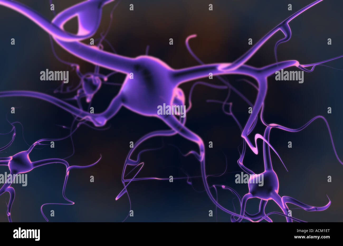 Motor nerve axons hi-res stock photography and images - Alamy