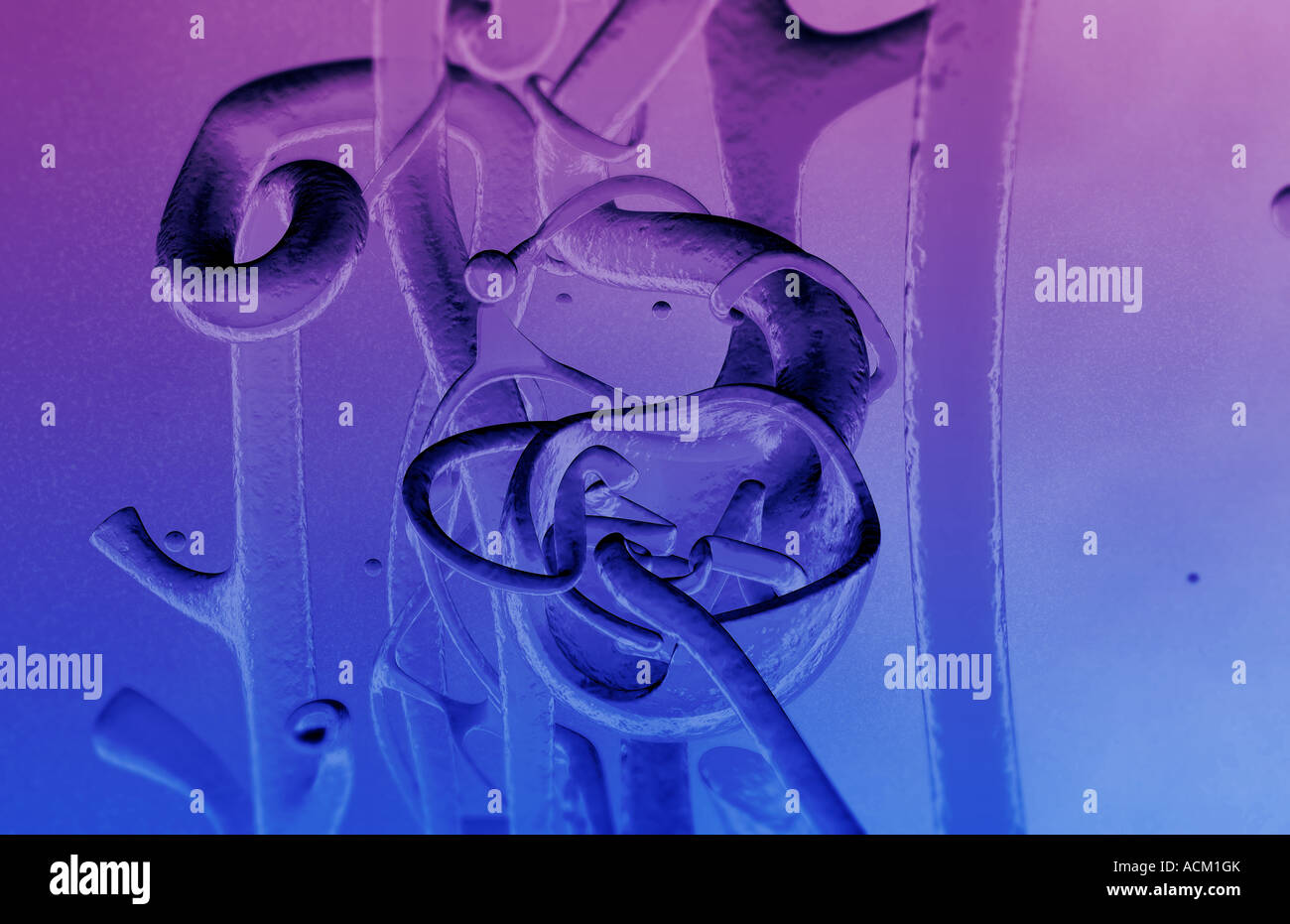 Bowman Capsule High Resolution Stock Photography and Images - Alamy