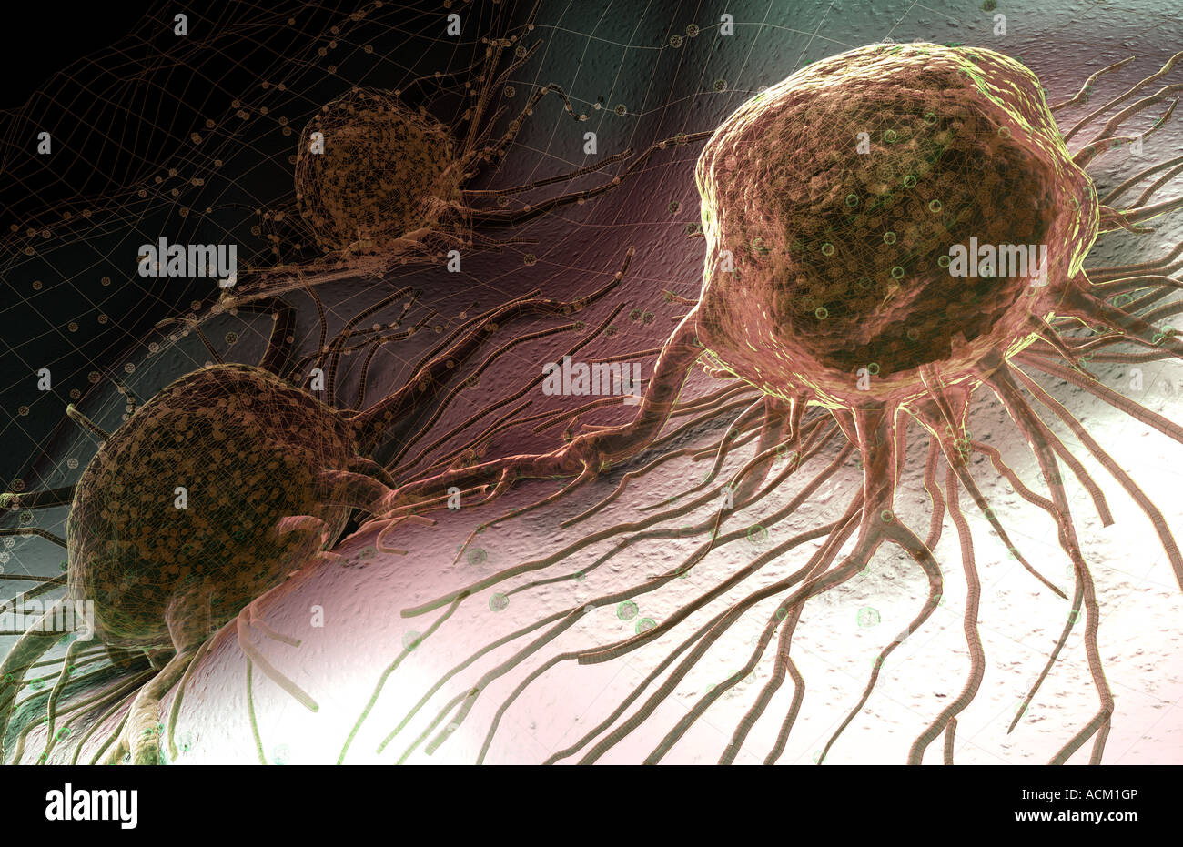 Cancerous cells hi-res stock photography and images - Alamy