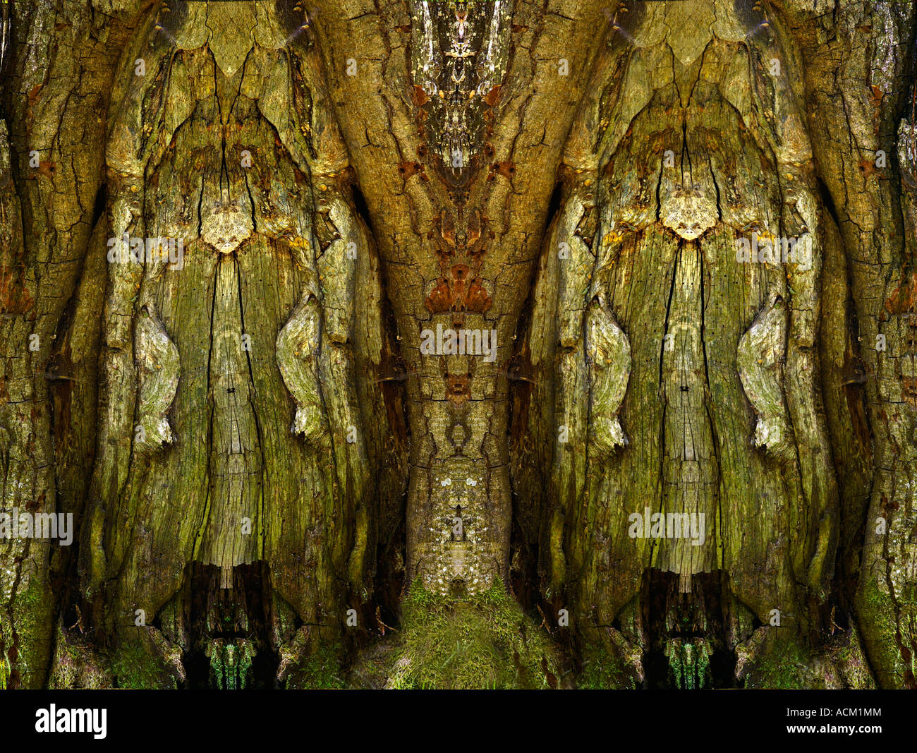 Two wooden fairies - fantasy on bark surface Stock Photo - Alamy