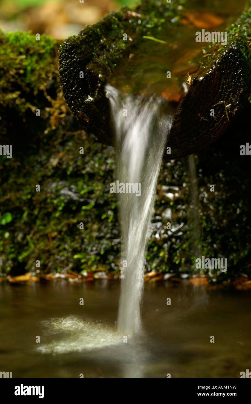 Small spring in forest and rivulet of fresh drinking water Stock Photo ...