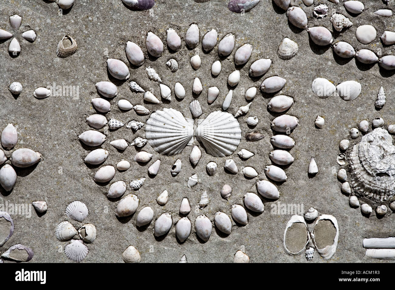 Shell house polperro cornwall hi-res stock photography and images - Alamy