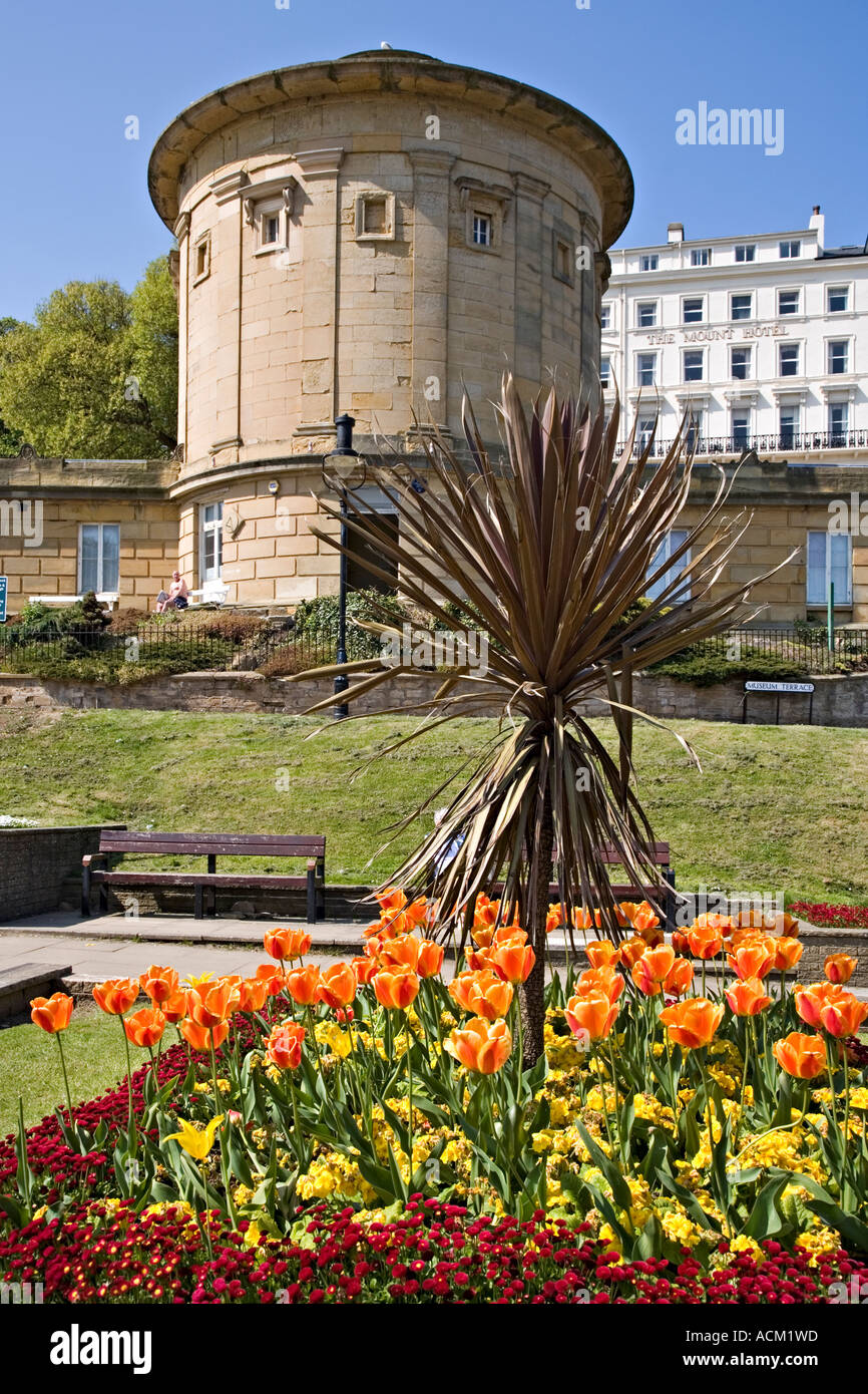 Rotunda Museum and spring flowers in Scarborough North Yorkshire UK ...