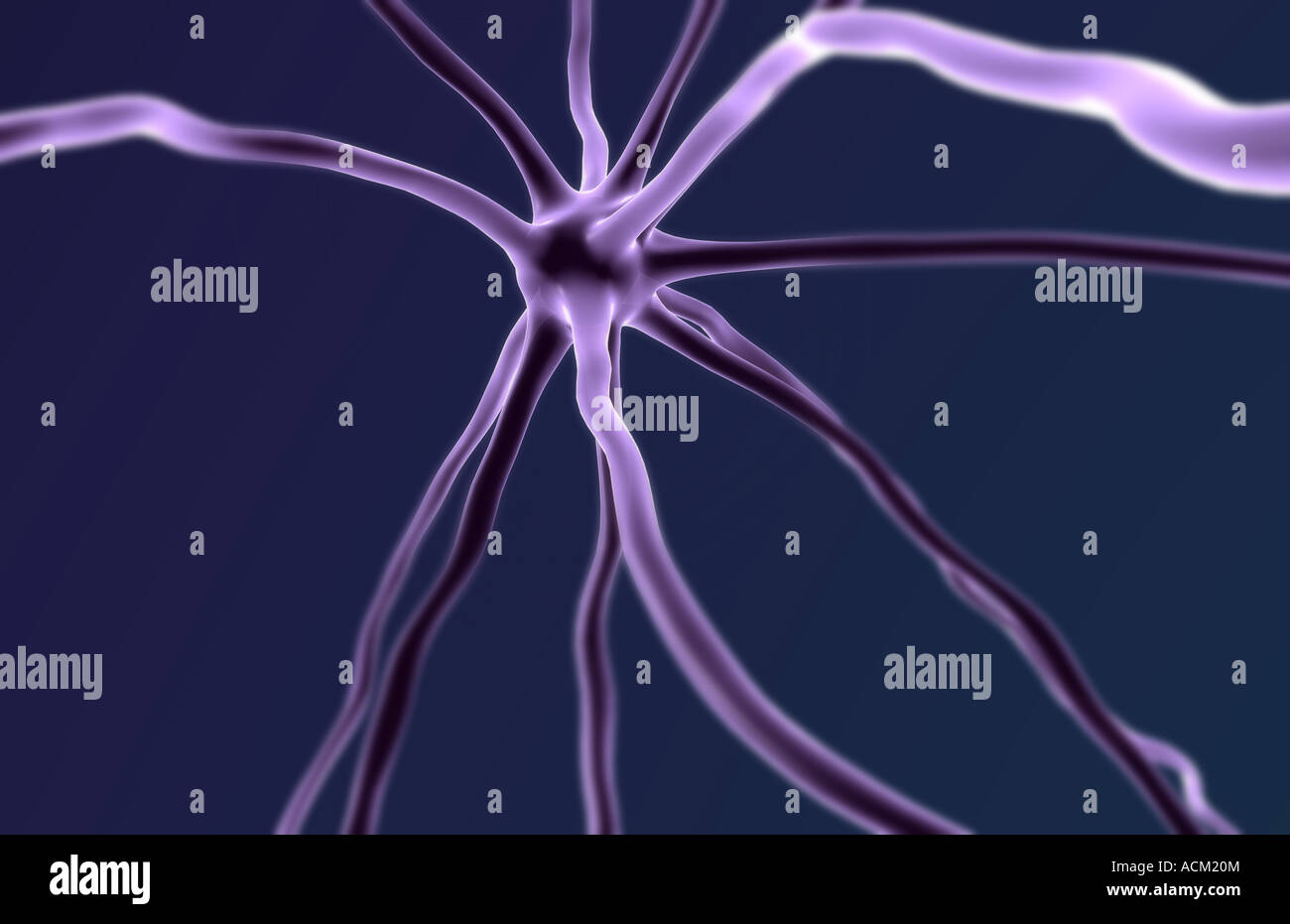 Neuronal processes hi-res stock photography and images - Alamy