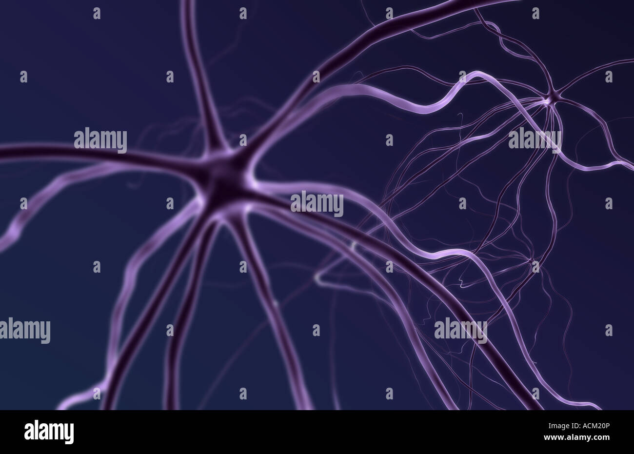 Close up human nerve cells hi-res stock photography and images - Alamy