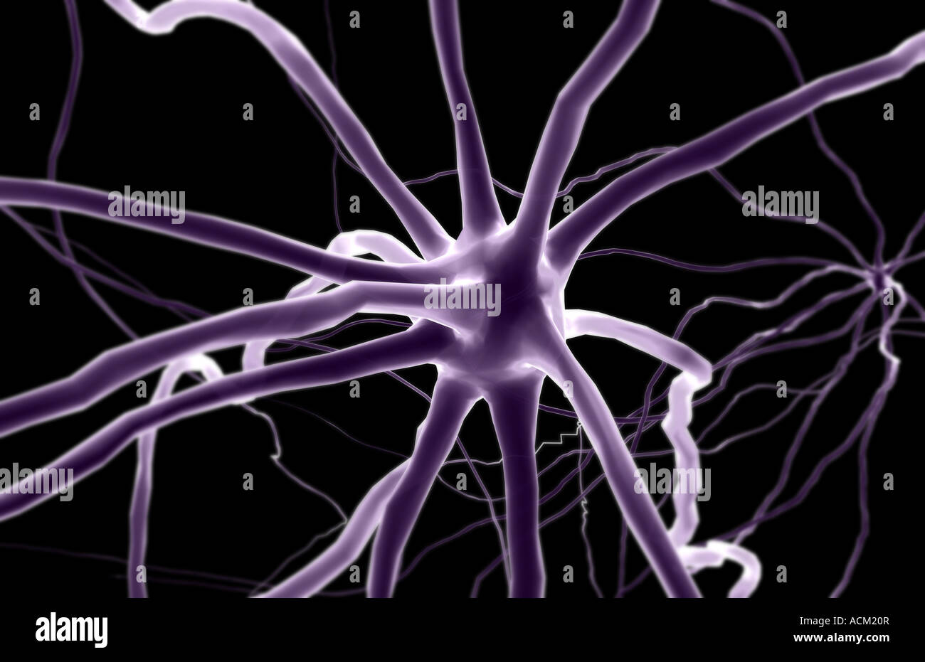 Motor nerve axons hi-res stock photography and images - Alamy