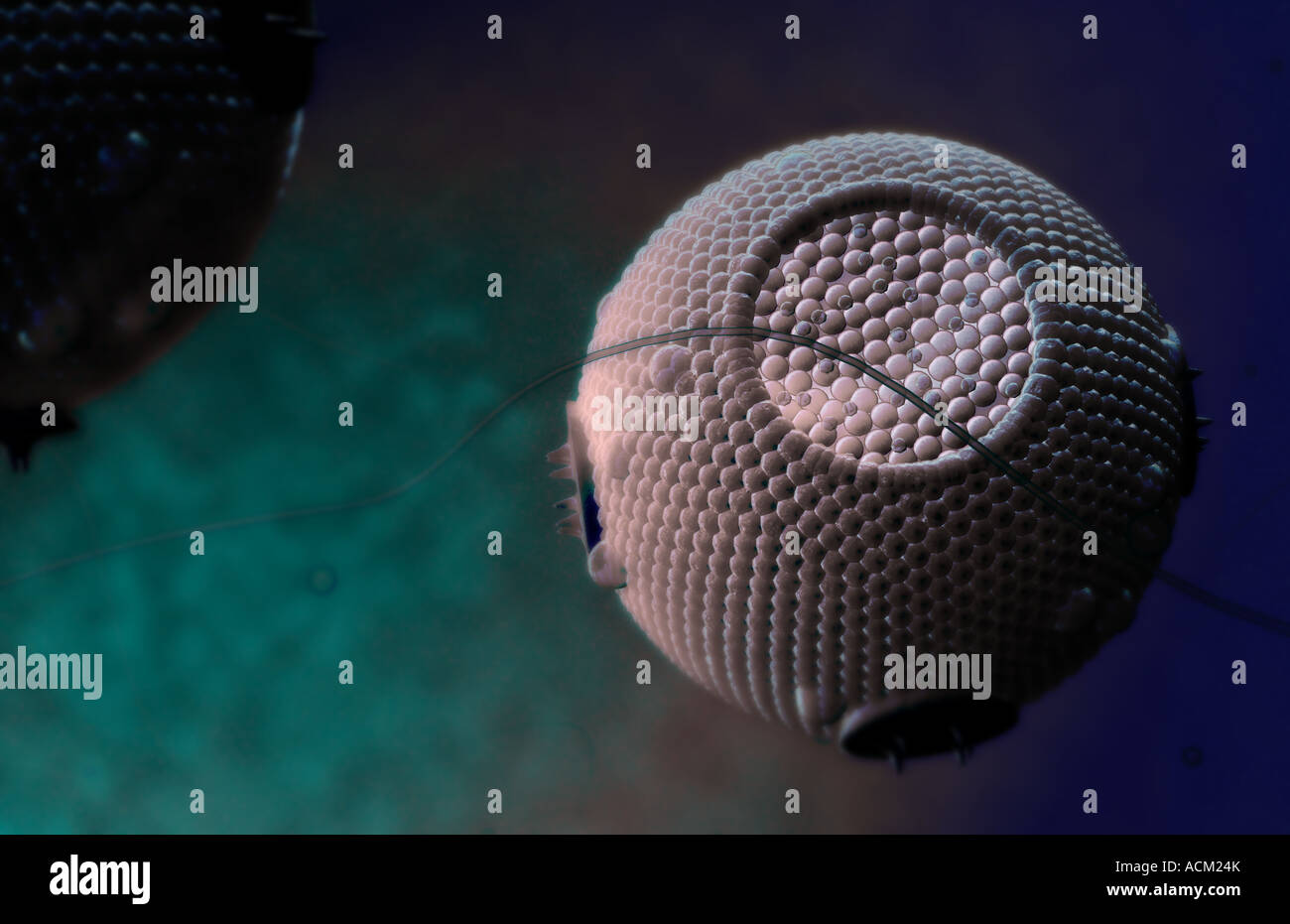Intermediate density lipoproteins Stock Photo - Alamy