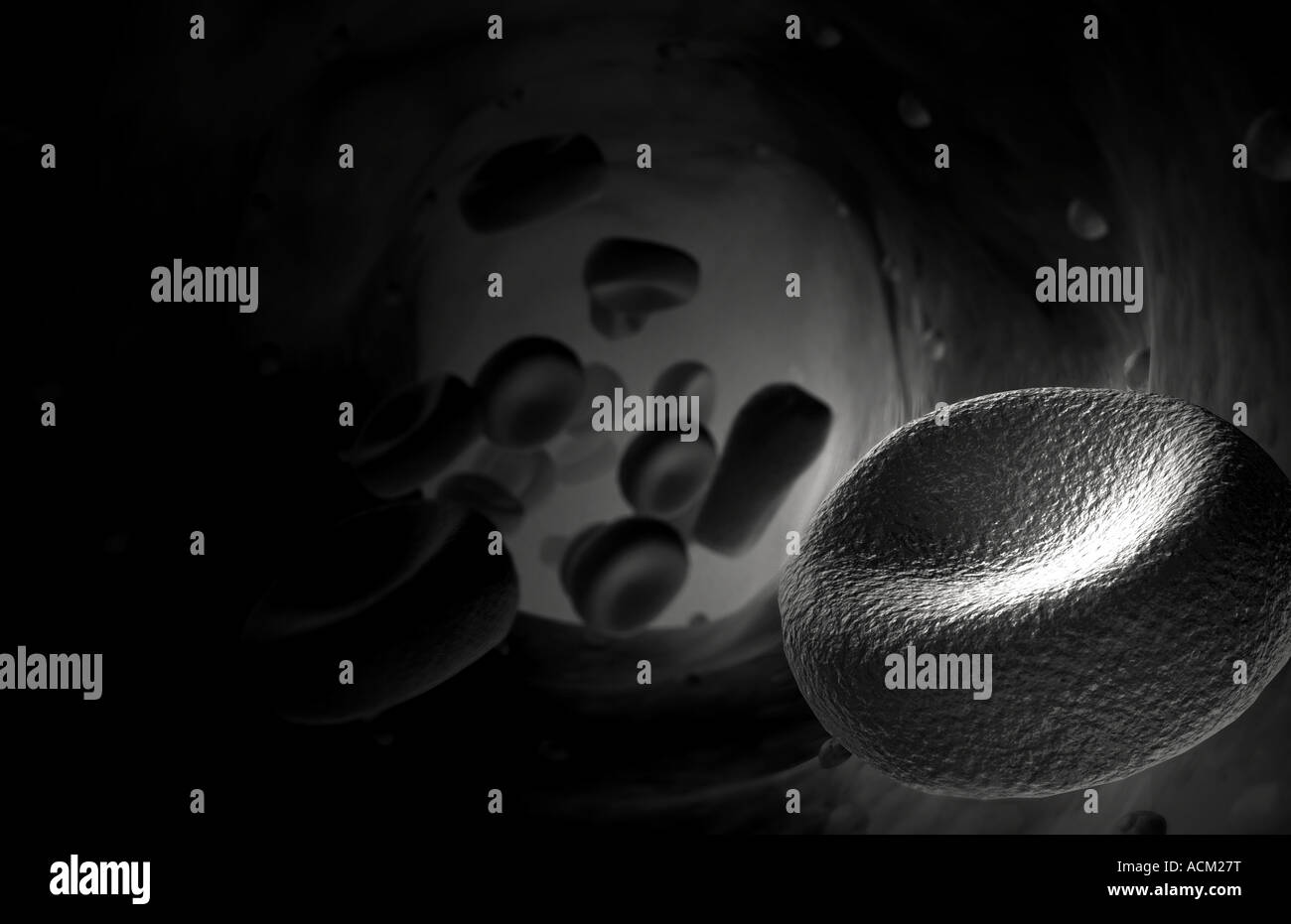 Red and white blood cells Black and White Stock Photos & Images - Alamy