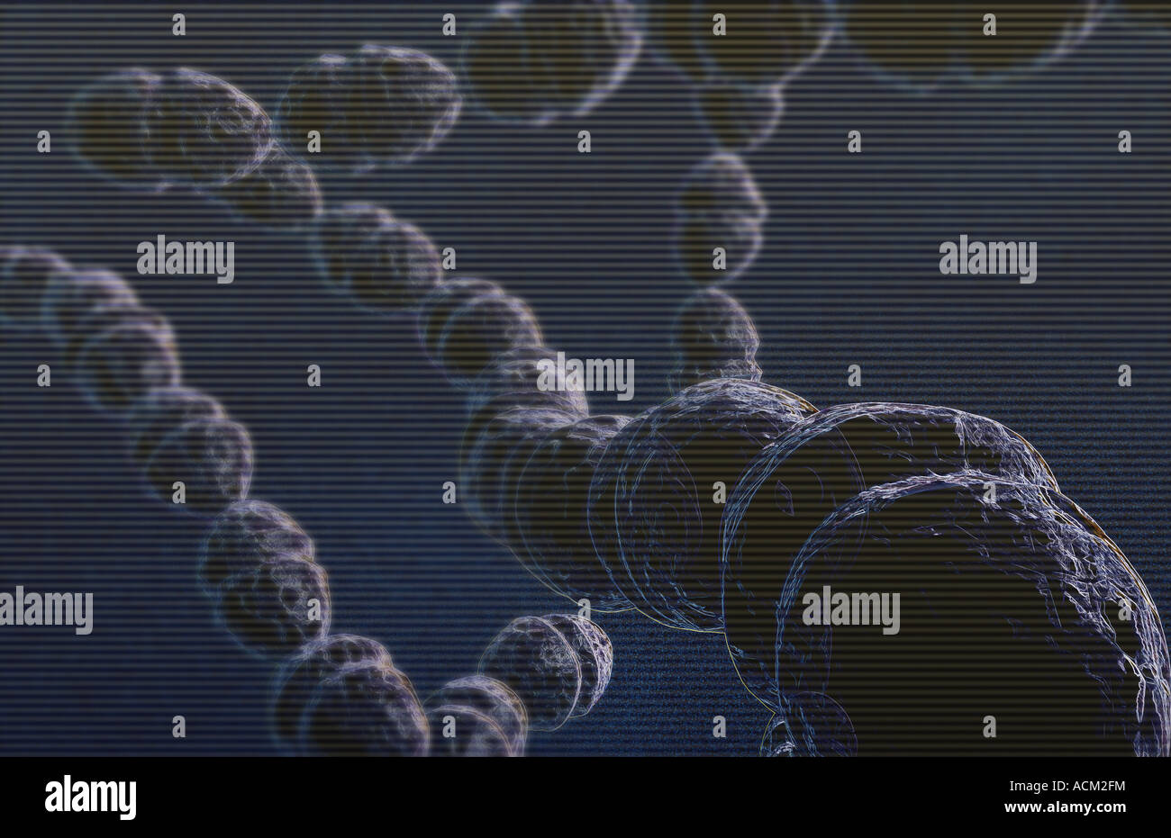 Streptococcus mutans bacteria hi-res stock photography and images - Alamy