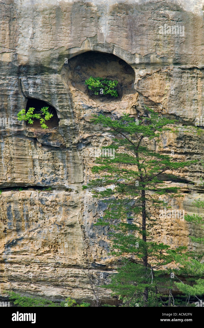 Sandstone Cliff Face near Indian Staircase Red River Gorge Geological ...