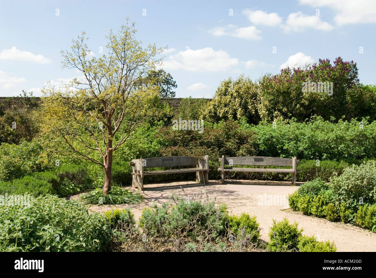 Benches in the enclosed gardens of Forty Hall in Enfield North London ...