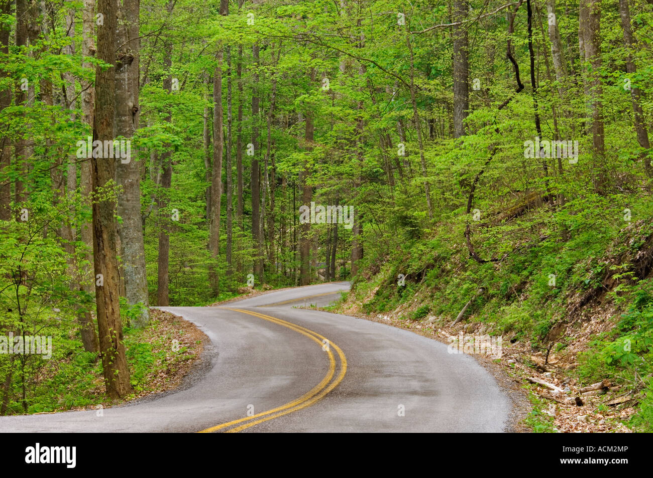 Daniel Boone Route Map Grand Canyon