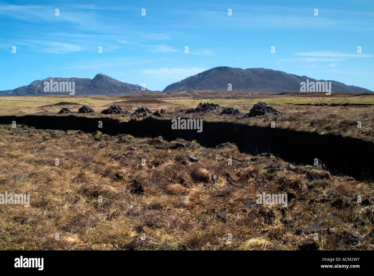 Peat Bog Landscape Stock Photo - Alamy
