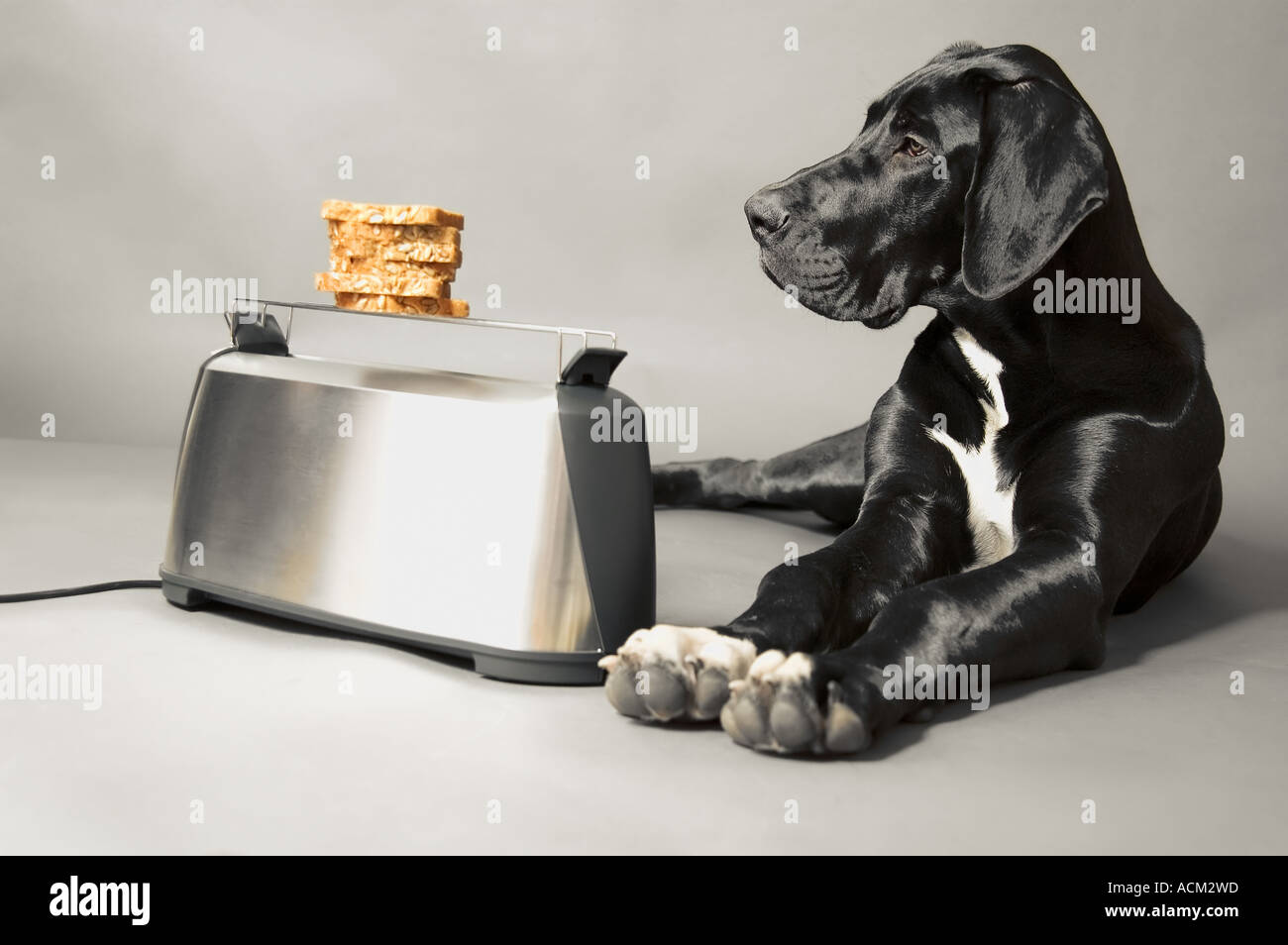 Two coloured mugs hi-res stock photography and images - Alamy