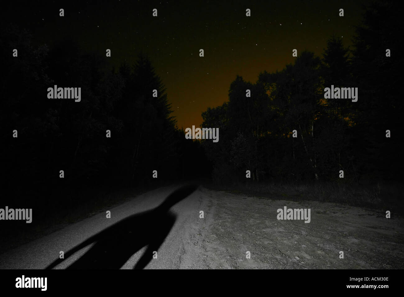 Man scary shadow hi-res stock photography and images - Alamy