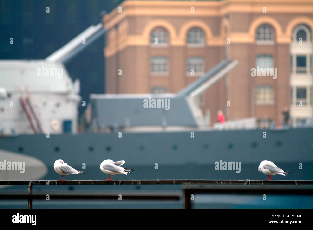 Hmas Belfast High Resolution Stock Photography and Images - Alamy