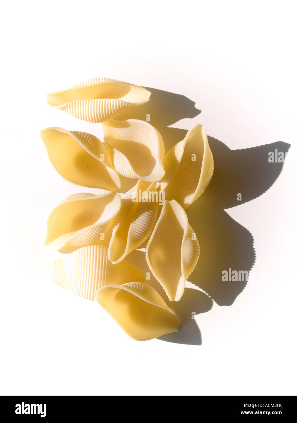 Helical shells hi-res stock photography and images - Alamy